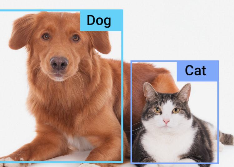 Real Time Human Pose Estimation Using Mediapipe Sigmoidal