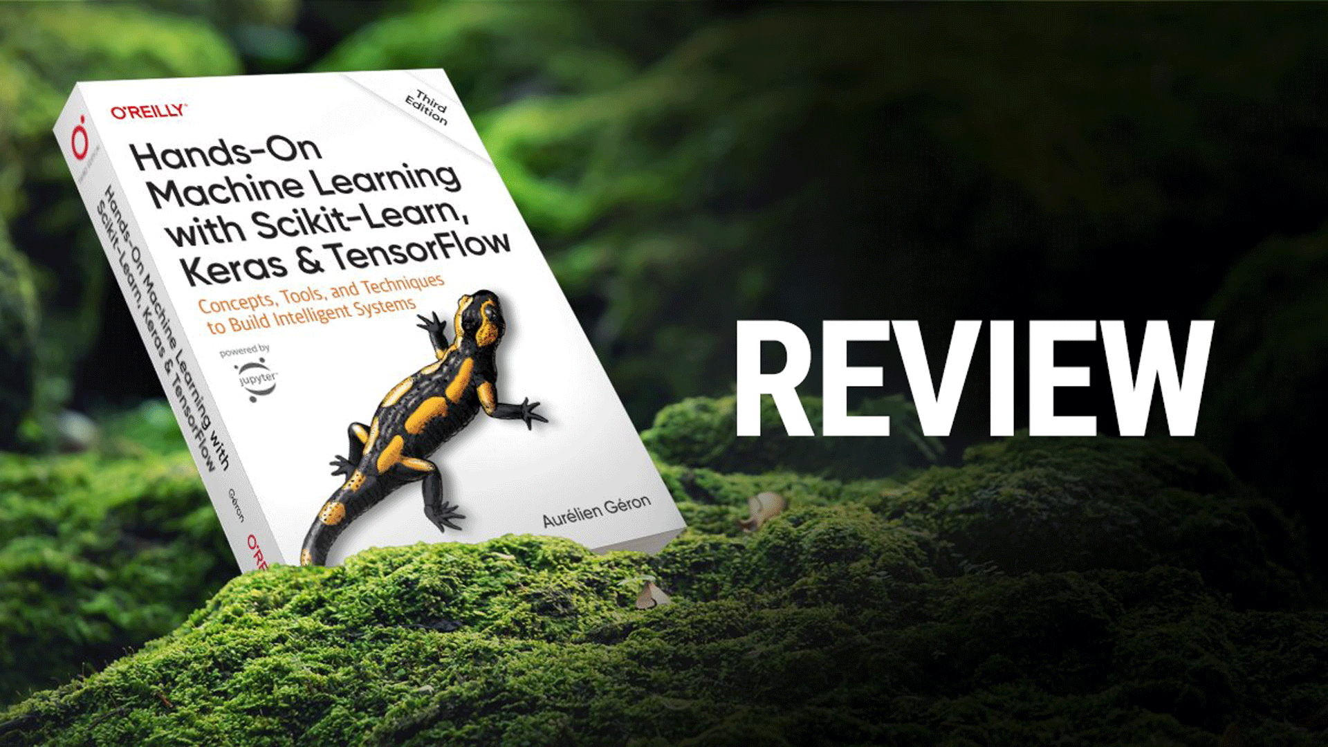 Review do Livro "Mãos à obra: Aprendizado de Máquina com Scikit-Learn, Keras & TensorFlow ...