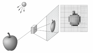 What is Sampling and Quantization in Image Processing | Sigmoidal
